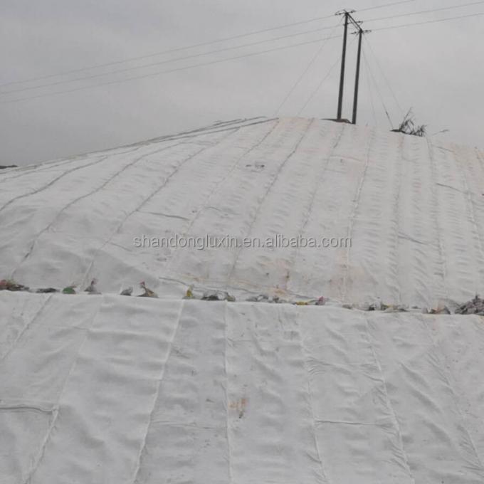 3D Composite Drainage Geonet for Railway and Highway Tunnel Landfill ...