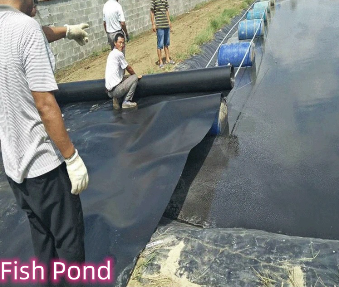 Graphic Design Project Solution Capability Hdoe Geomembrane Tank Liner 0.5mm 1.0mm