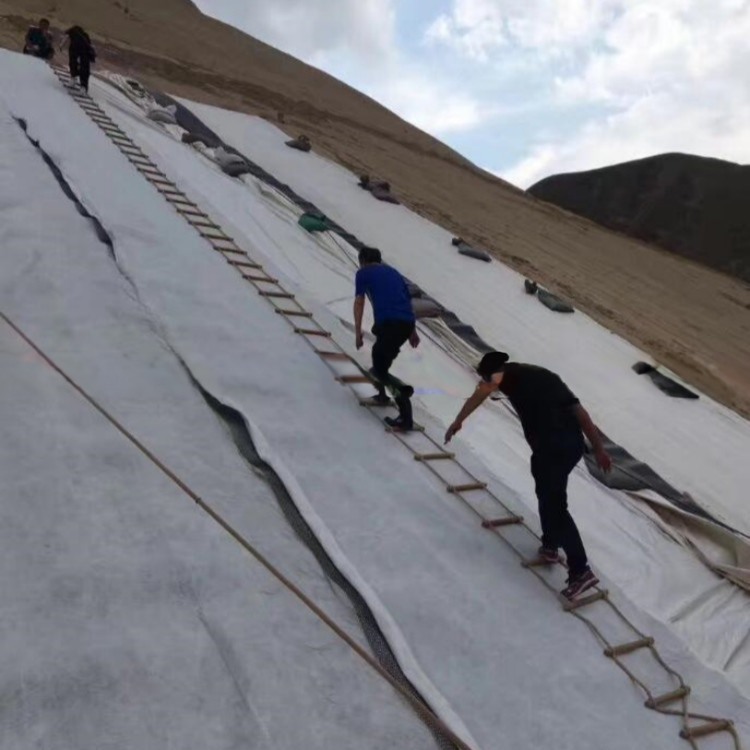 Length 50m Geocomposite Drainage Sheet 3d Composite Drainage Net 3d ...